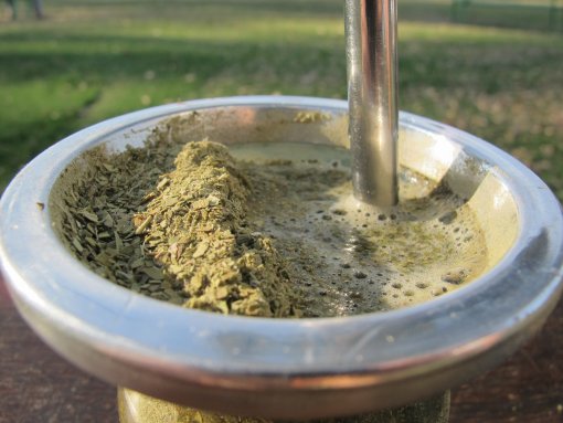 A good sign of the perfect mate is the presence of ‘foam’