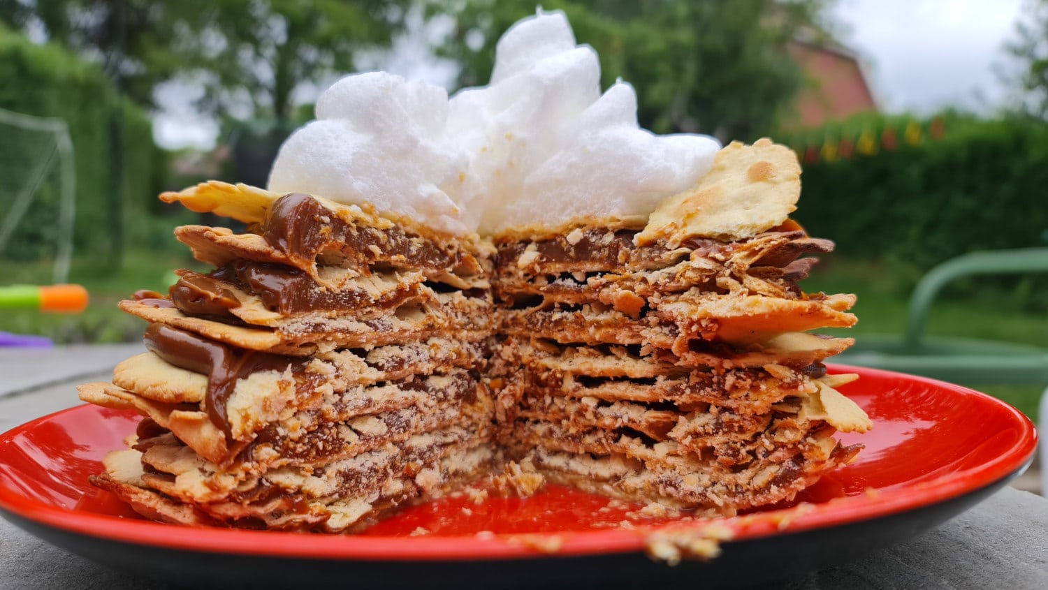 Rogel Recipe: The Torta Alfajor - Delicious Dulce de Leche Recipe